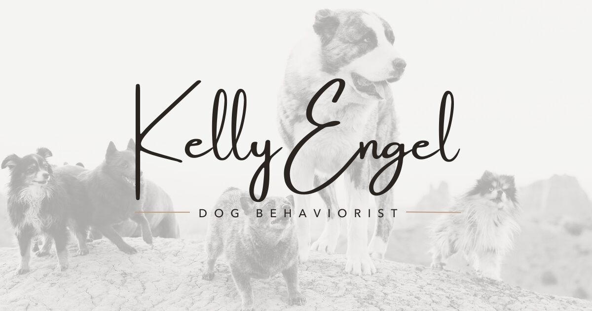Kelly Engel Dog Trainer | Santa Fe, New Mexico